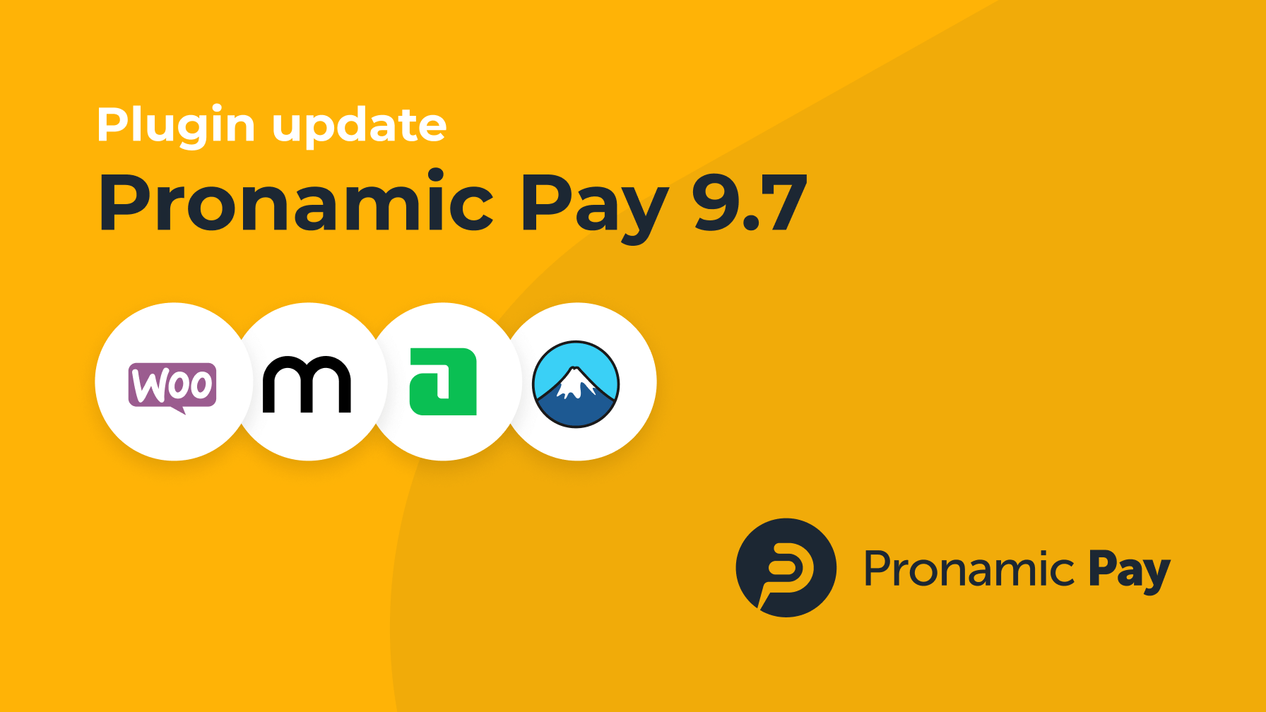 Pronamic Pay 9.7 - Pronamic Pay
